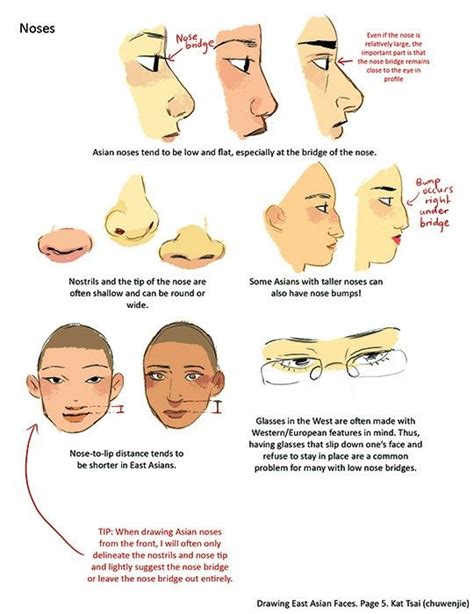 Nose Types Reference Different Noses Reference Facial Features