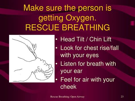 Ppt Drug Overdose Prevention Recognition Response And Naloxone
