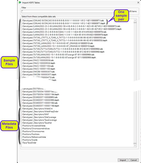 Importing Hdf5 Files