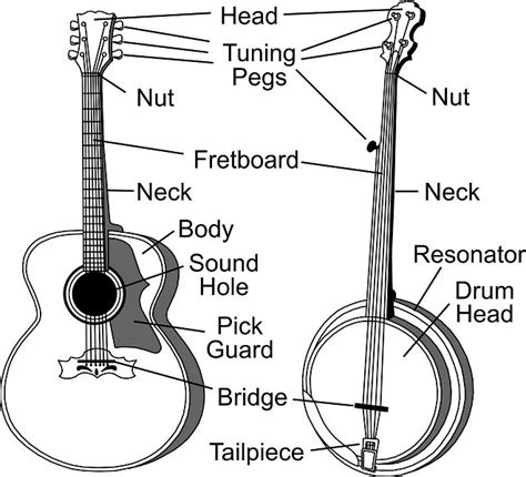 Setting Up Acoustic Guitars And Other Fretted Instruments