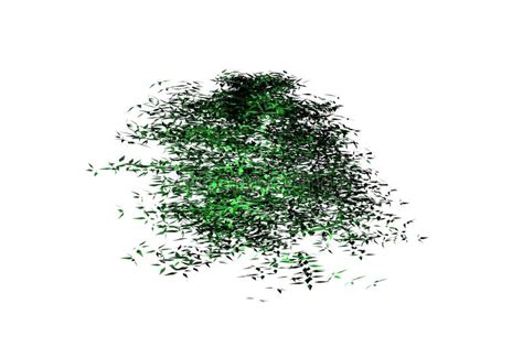 Shape Foliage Grass White Background 3d Rendering Stock Illustration