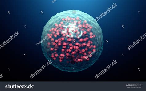 Viral Replication Over 732 Royalty Free Licensable Stock Illustrations And Drawings Shutterstock