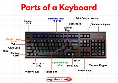 Parts Of A Keyboard Complete Guide With Functions And Diagram