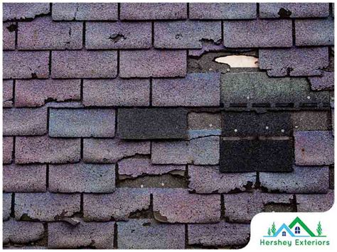 Asphalt Shingle Damage Differentiating Cracks And Splits