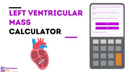 Left Ventricular Mass Calculator Online
