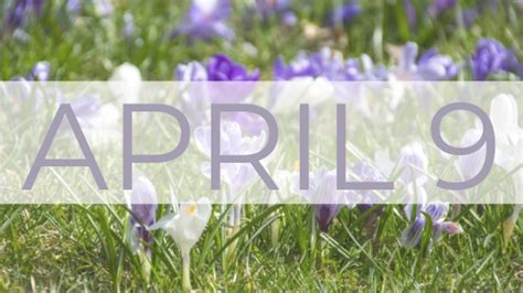April 9 Nurturing Wisdom Tutoring