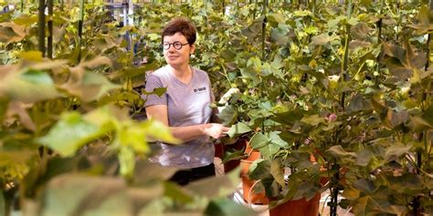 Welcome To The Homepage Of Basf Innovation Center Gent