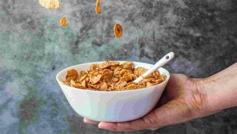 Bnf Warns Against Focusing Solely On Upf Classification Alpro Foundation