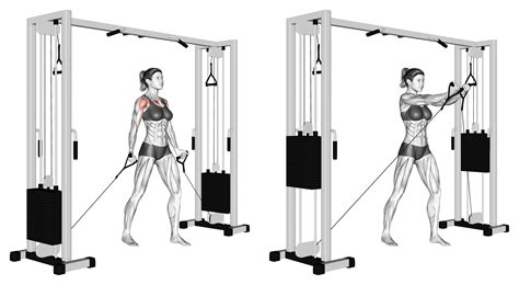 Can You Build A Chest With Just Cables Yes Heres How