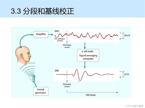 脑电信号的预处理及数据分析要点 Eeg Processing And Feature 3脑电信号预处理在线 Csdn博客
