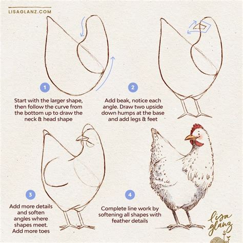 How To Draw A Cute Chicken 🐓 This Ones A Bit More Involved But If You