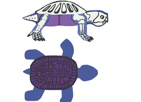 Adocus 2 By Tcr11050 On Deviantart