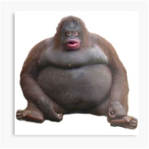 Blake Haddock Youtube