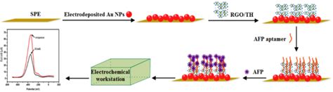 Schematic Diagram Of A Label Free Dpv Aptamer Biosensor Based On Download Scientific Diagram