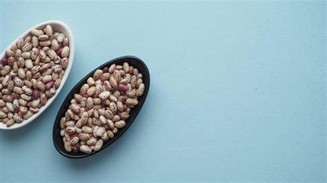 Light Bean Stock Video Footage For Free Download