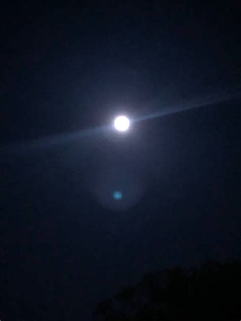 Naenae Sex Boi Onlyfans