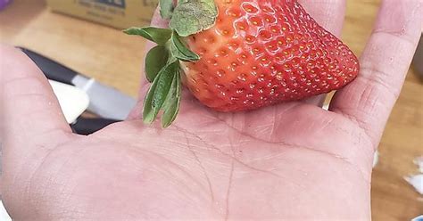 Giant Red Dwarf Album On Imgur