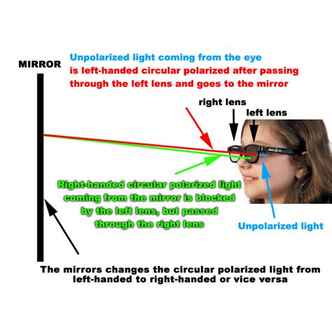 Polarization Why Cant My Eye See Itself In The Mirror Through