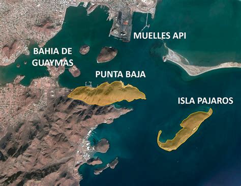 Protección Y Atraque
