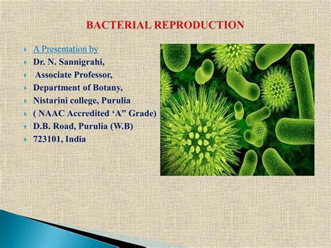 Bacterial Reproduction Pdf