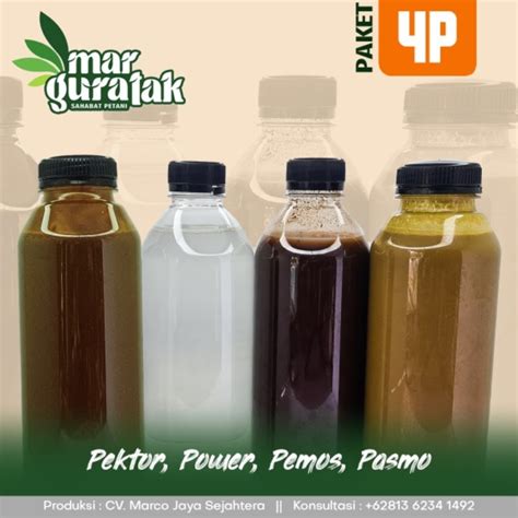 Jual Paket Pasmo Pemos Pektor Power Shopee Indonesia