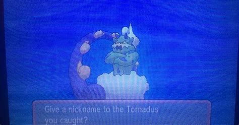 Shiny Tornadus Album On Imgur