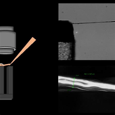 Schematic Illustrating The Step Wise Method For Qtf Modification By Two