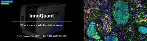 Innopsys On Linkedin Fluorescence Imageanalysis Scanner