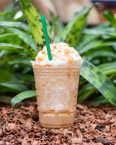 Starbucks Caramel Frappuccino Artofit