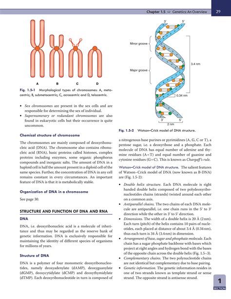 Physiology For Medical Student Pdf Form Pdf
