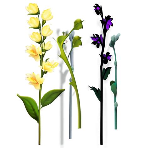 Flower Stem Png White Freesia Flower Png Images And Psds For Download