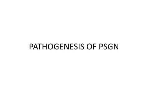 Ppt Pathogenesis Of Psgn Powerpoint Presentation Free Download Id