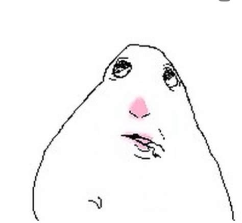 15 Hamster Meme Reaction Ideas In 2025 Hamster Funny Hamsters