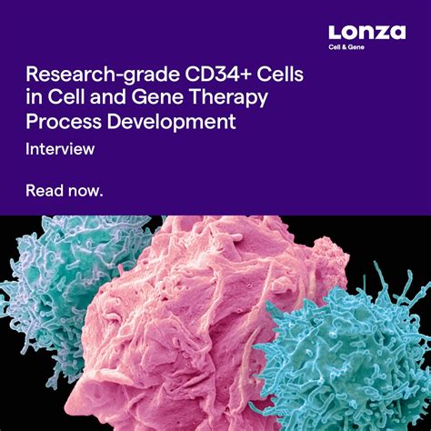 Interview Cd34 Cells For Cgt Process Development Lonza Manjunath Manju S