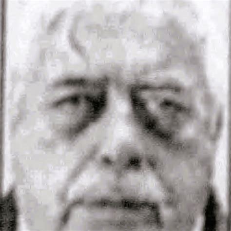 The Murder Of Haley Mchone Part 3 The Murder Police Podcast Listen