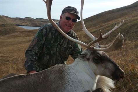 Caribou Adak Caribou Hunts