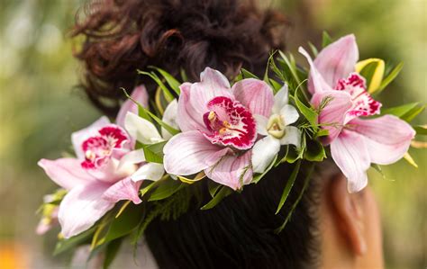 Hawaiian Flowers 22 Of The Most Beautiful Flowers Of Hawaii