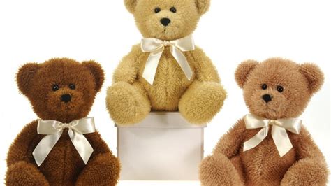 Teddy Bears Featured In Popular Ads
