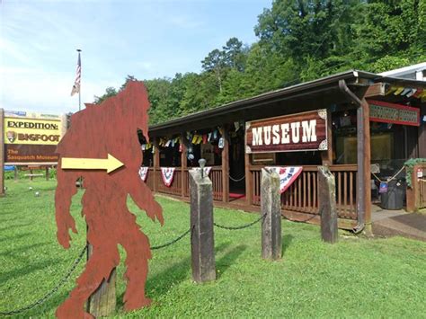 Bigfoot Finds Fame In Hocking Hills