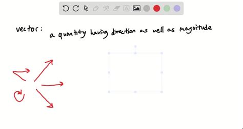 Why Is A Vector Known As A Homogeneous Data Structure Numerade