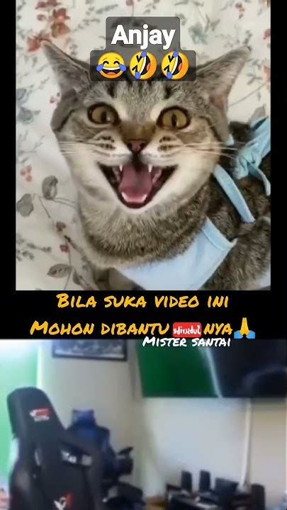Ketahuan Colmek Ngakakkocak Shorts Meme Video Viral Youtube