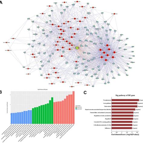 Overview Of The M 6 A Methylation Map In Aortic Tissues A Scatter