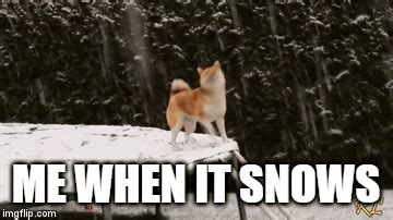 Snow Imgflip