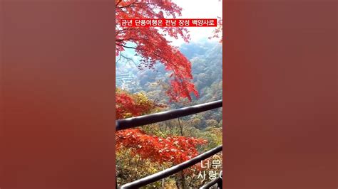 전남 장성 백양사 Youtube