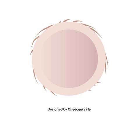 Half Broken Coconut Cartoon Clipart Free Download