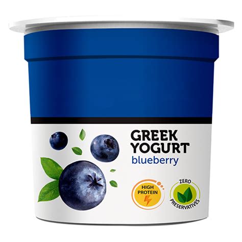 Blueberry Greek Yogurt