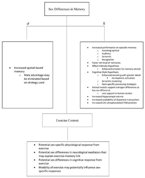Parsimonious Schematic Of Potential Sex Differences In Memory And Their Download Scientific