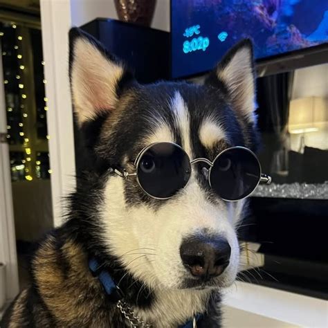 Jansen Wang Jansenwangg • Threads Say More