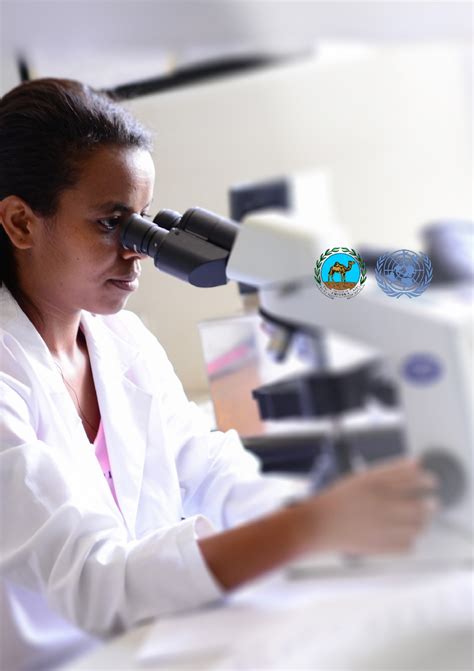 Empowering Women Eritrea S Achievements And Experience 2015 UN Report Madote