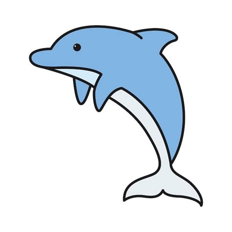 Premium Vector Dolphin